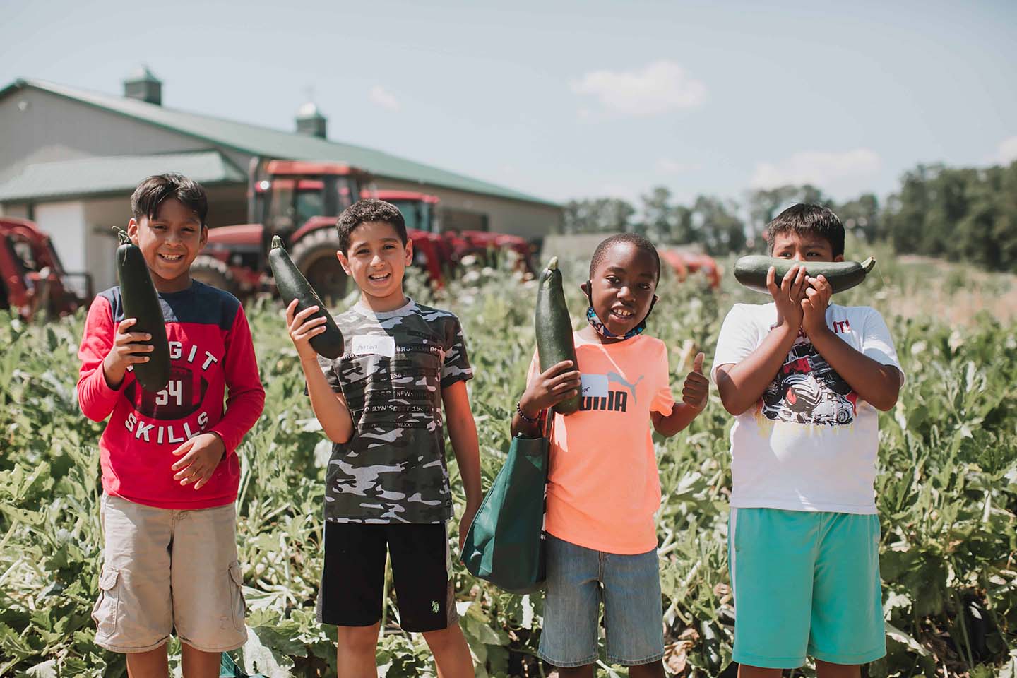 Volunteer at America's Grow-a-Row