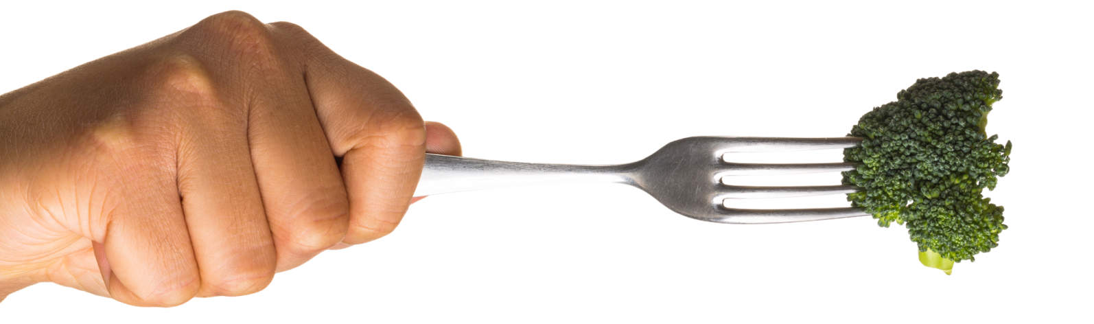 America's Grow-a-Row | Help Feed The Hungry